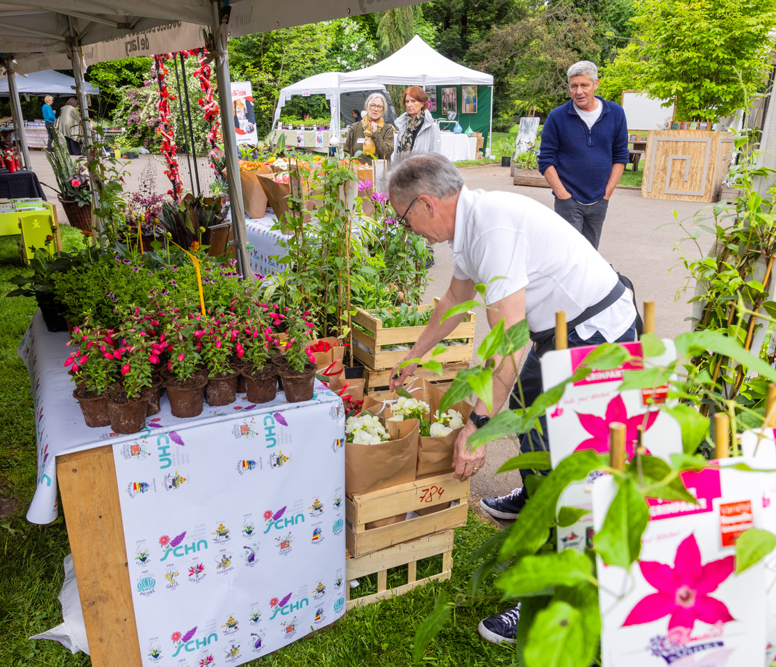 Nature en fête : un succès ! - Société Centrale d'Horticulture de Nancy ...
